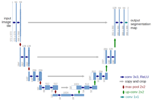Multiclass Segmentation in PyTorch using U-Net - Idiot Developer