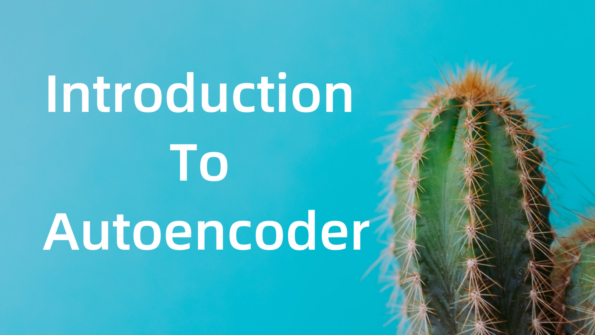 Introduction to Autoencoders - Idiot Developer