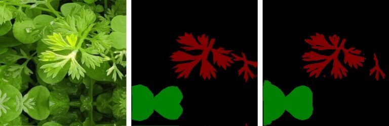 Multiclass Segmentation in PyTorch using U-Net - Idiot Developer