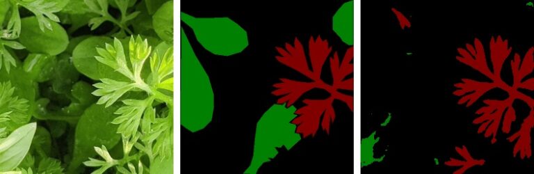 Multiclass Segmentation in PyTorch using U-Net - Idiot Developer